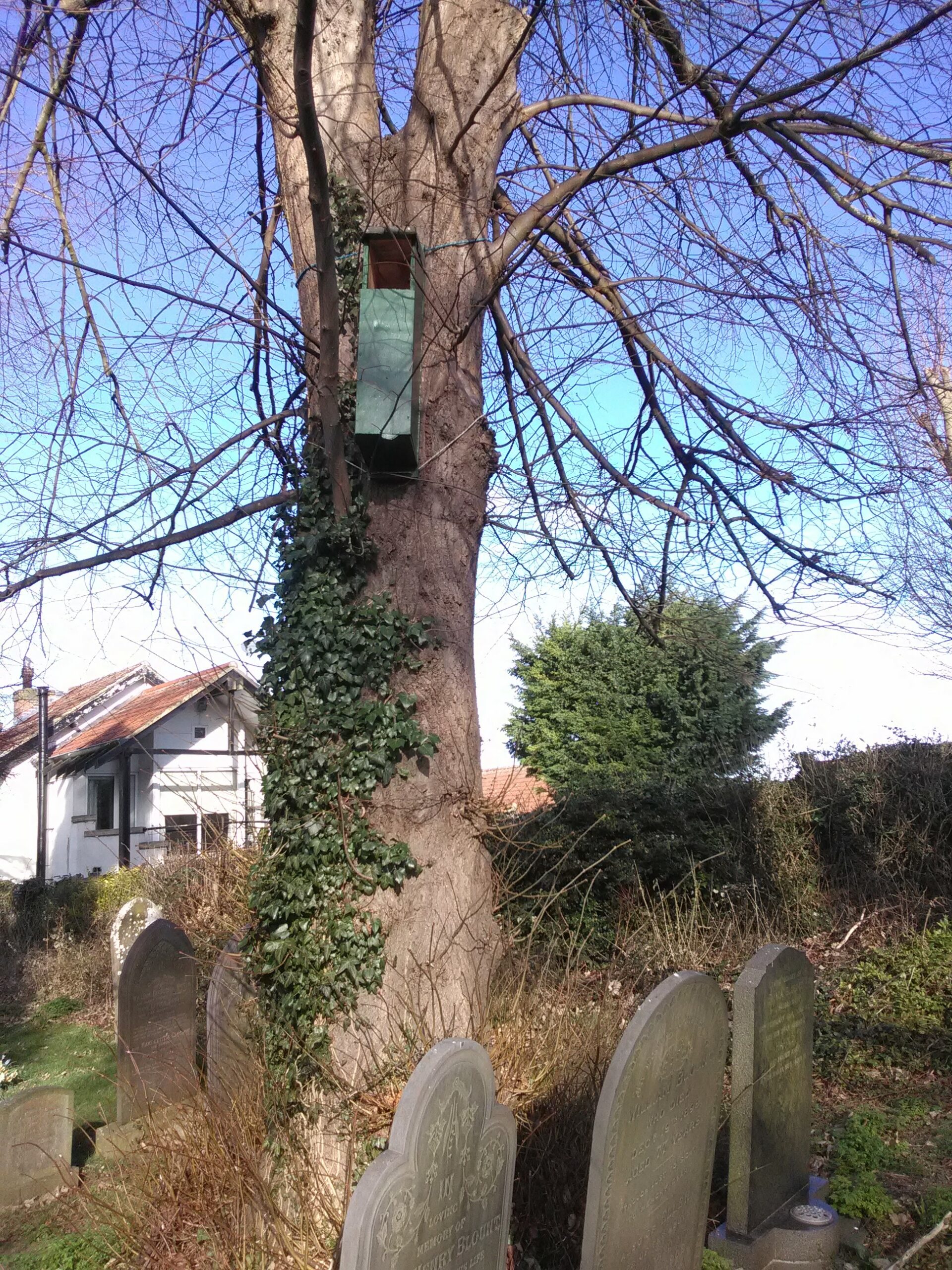 St Giles' Church is Welcoming Owls in Cropwell Bishop - Diocese of ...