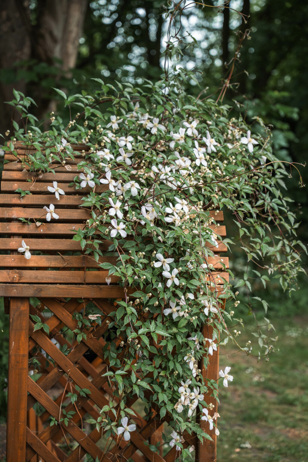Bench ‘HOPE' Rededication Service - Diocese of Southwell & Nottingham